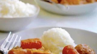 Instant Pot Japanese Recipes: Quick & Easy Authentic Dishes