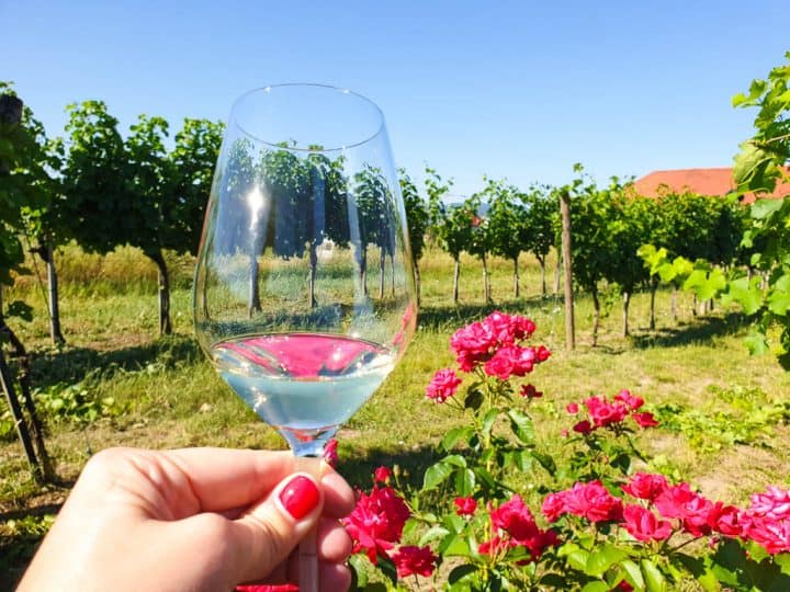 Austrian Drinks Guide: What to Drink in Austria | Food & Drink Destinations