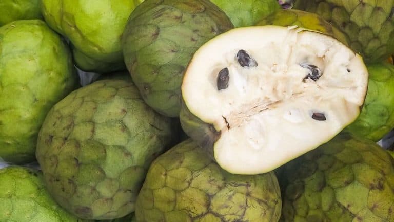 8 Best Fruits From Spain: Spanish Fruits To Eat When Traveling