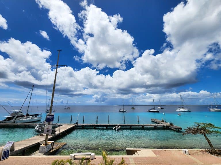 Bonaire Island: Your Travel Guide & Island Tips