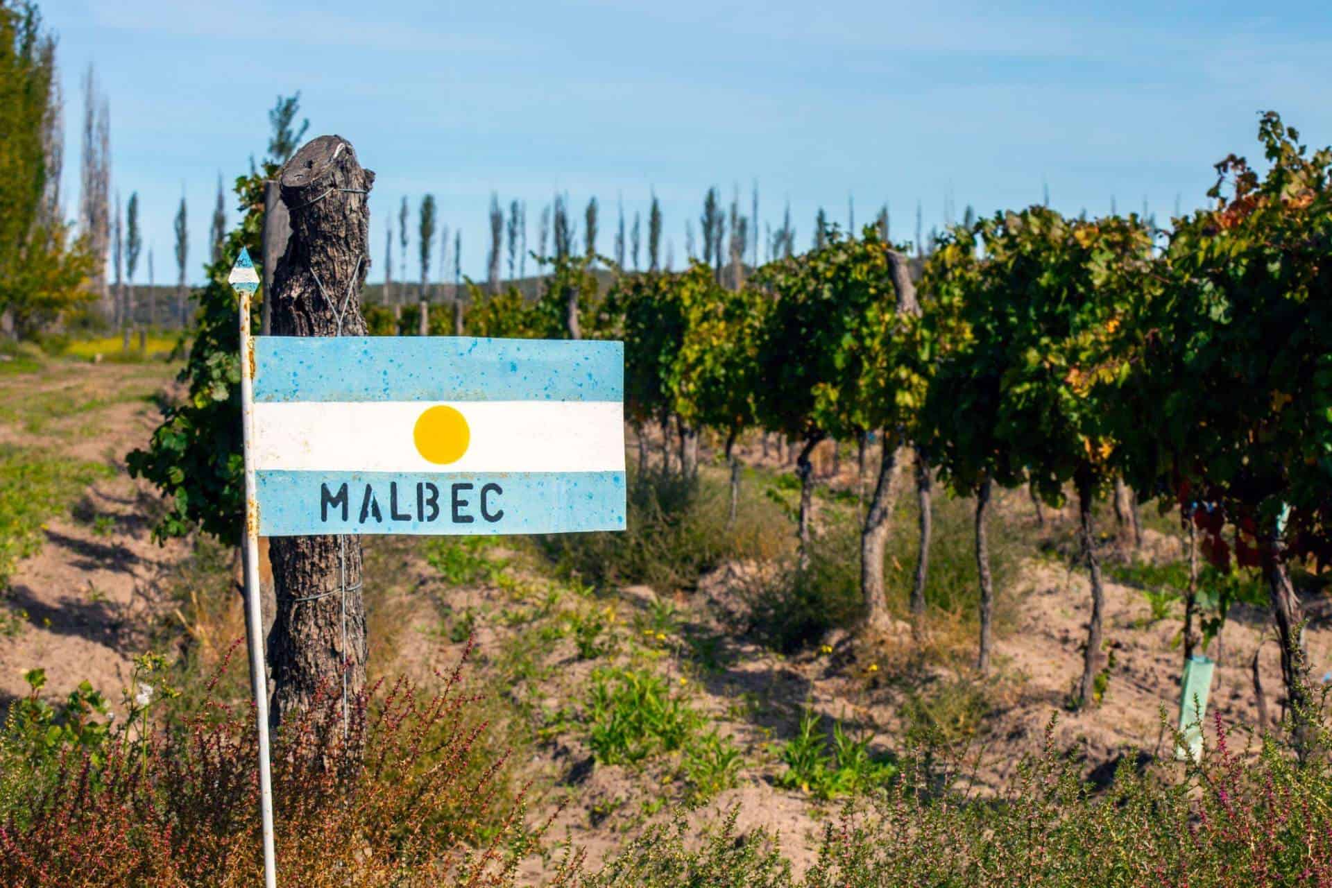 Argentina Wine Guide: What is Malbec Wine? A Unique History And Flavor